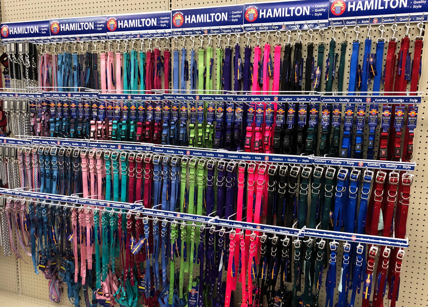 Refresh Your Hamilton Set – BrightPet