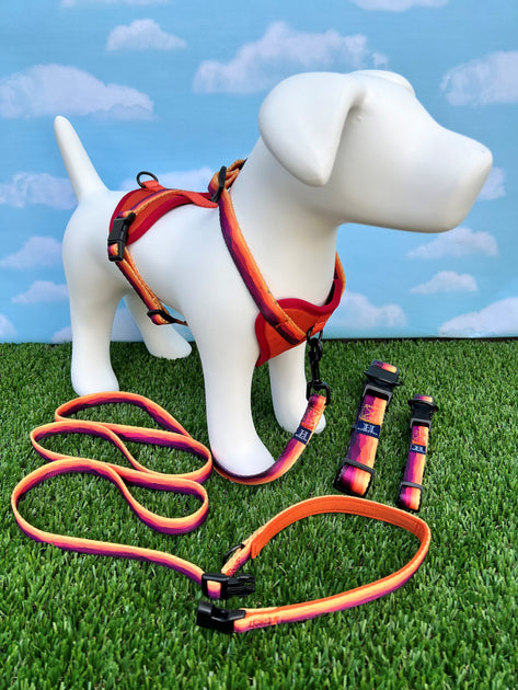 Go Boldly Land & Sea – BrightPet
