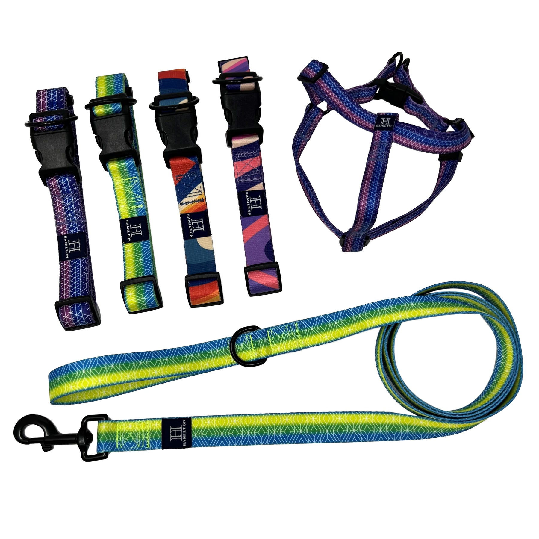 Eco Venture Recycled Webbing – BrightPet