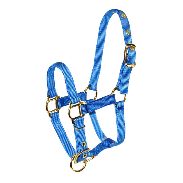 3/4" Miniature Deluxe Nylon Halters with Adjustable Chin Strap – BrightPet