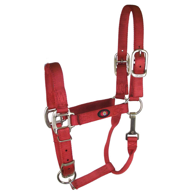 1" Deluxe Nylon Halters With Adjustable Chin Strap & Snap with Brushed ...
