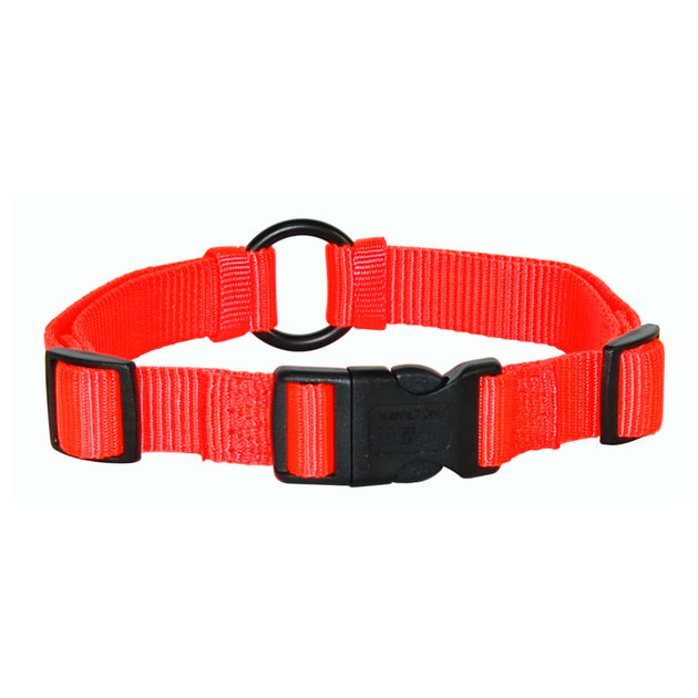 Hunt/Sport Adjustable Collars – Miracle Pet