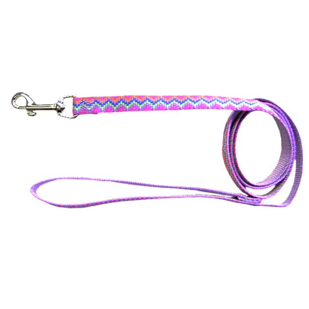 Single Thick 4' Weave Print Leashes – BrightPet